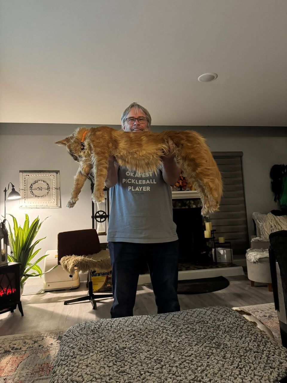 Davide Maincoon - Premium Maine Coon Kittens